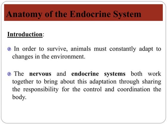 Endocrine glands in fish, hormones, structure and function of the neuro ...