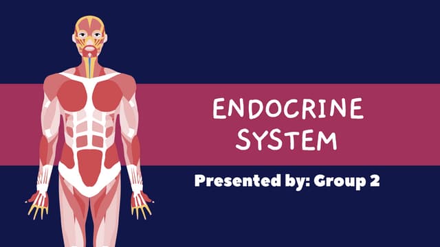 Endocrine System (Hormones in Animals/WBBSE)) | PPTX