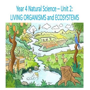 living organisms and ecosystems | PPTX