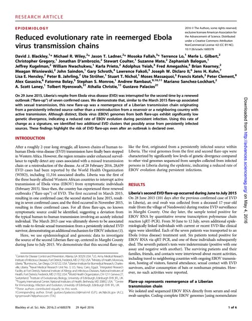 Mystery of the seven deaths | PDF