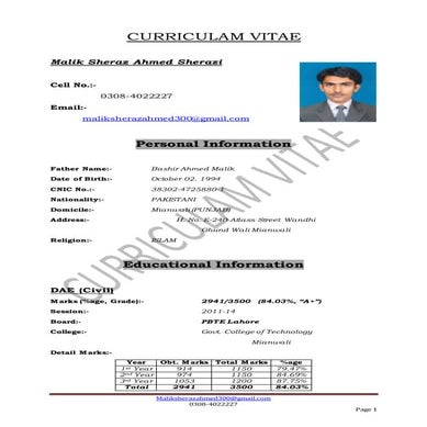 CURRICULAM VITAE | PDF