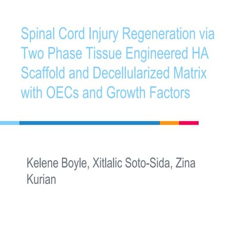 Stem Cell Therapy For Spinal Cord Injury: Hope For Paralyzed Patients | PDF
