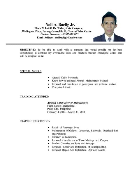 mark amt resume | PDF | Air Travel | Travel Type