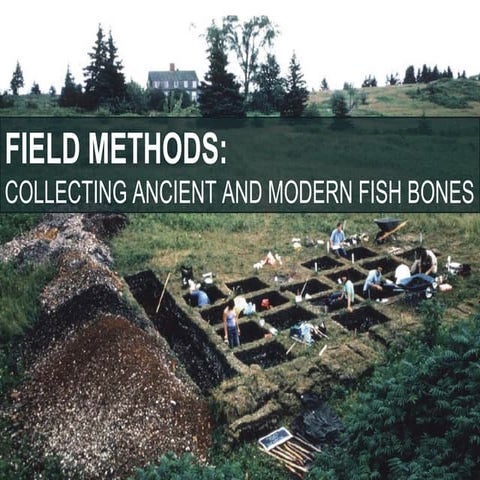 4 field methods | PPT