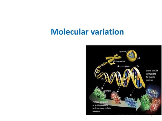 CROSSING OVER PPT | PPTX