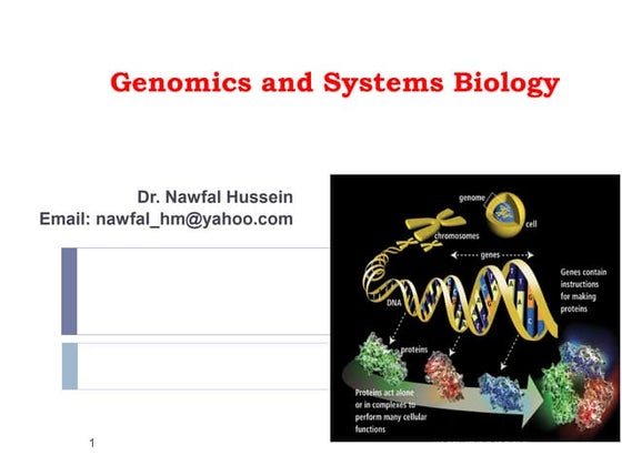 PHYSICAL MAPPING STRATEGIES IN GENOMICS | PPT