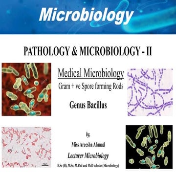 DPT - Microbiology II (Gram +ve Spore forming rods) | PPT