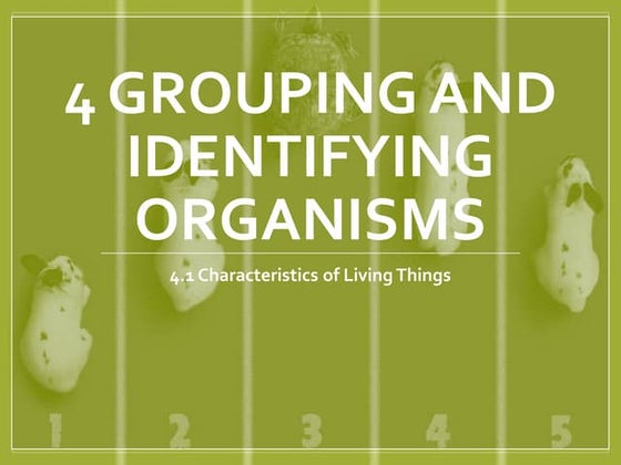 Characteristics of Living Things | PPT | Biological Sciences | Science