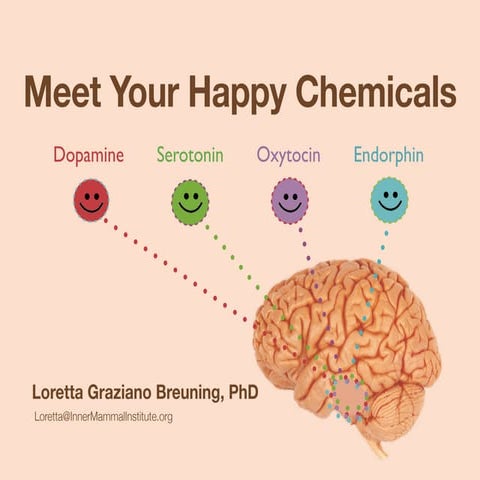 4 Happy Chemicals.pdf-all slides including | PDF