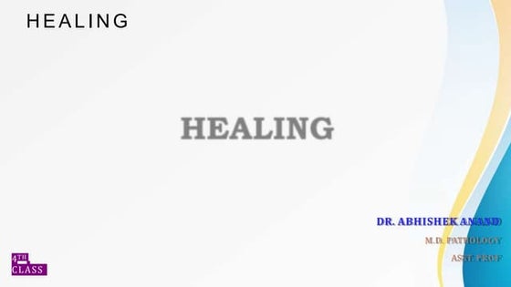 PATHOPHYSIOLOGY OF HEALING WITH PRIMARY & SECONDARY INTENTION.pptx ...