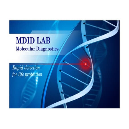 Caixa Empreender Award 2016| Health - Mdid Lab (Cohitec) | PPT