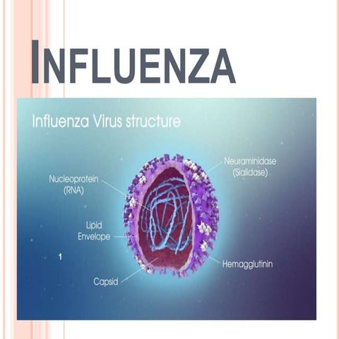 4 influenza virus, bird flu during disaster | PPTX