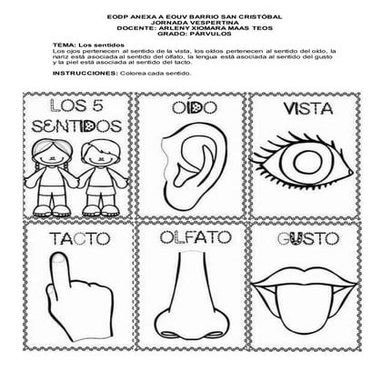 Hoja De Trabajo Para Relacionar Los 5 Sentidos Trabajamos Los 5