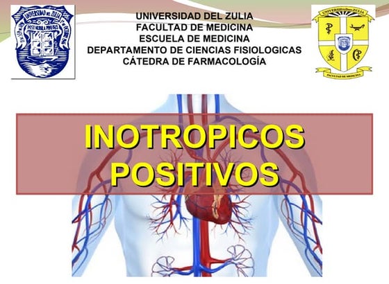 INOTROPICOS farmacología clasificación y función | PDF | Heart and ...