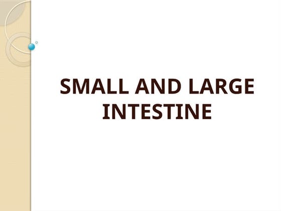 SMALL INTESTINE AND LARGE INTESTINE | PPT