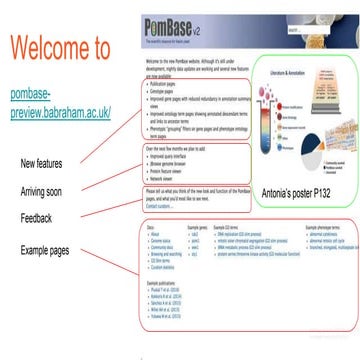 New PomBase website features | PPT