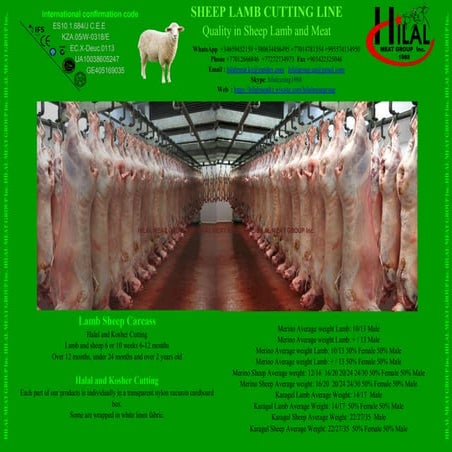 lamb cutting line catalog | PPT