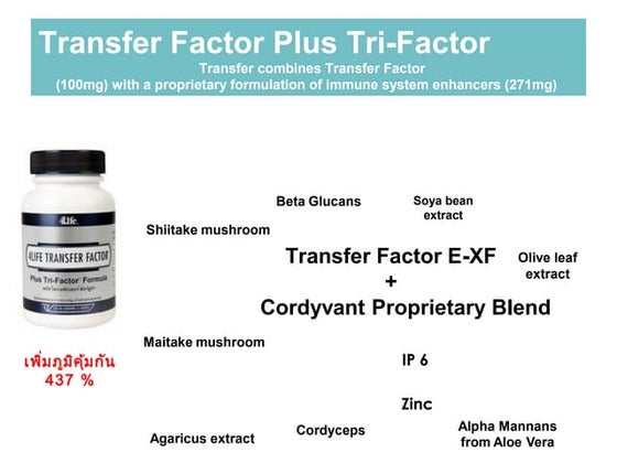 Kelsey Ford Portfolio 4-2 | PPT