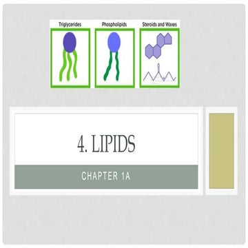 AS Biology- Lipids | PPT