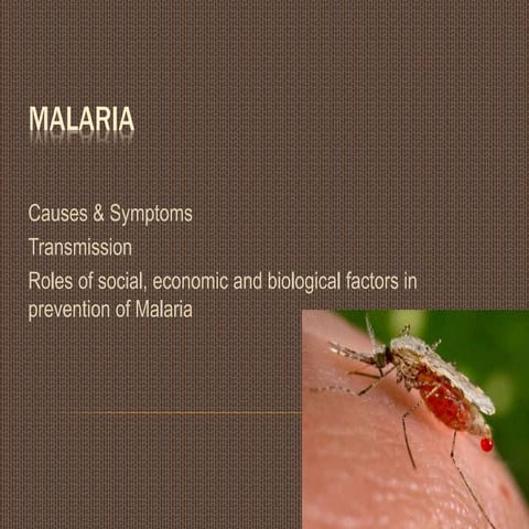 4) Malaria | PPTX