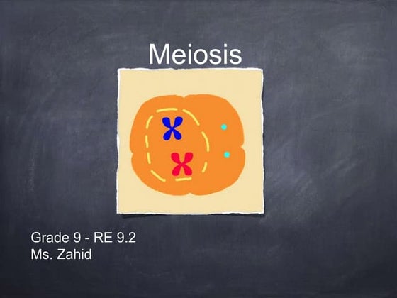 celldivisionmeiosis | PPT