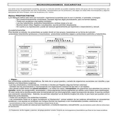 Organismos unicelulares y pluricelulares guia 3 | DOCX