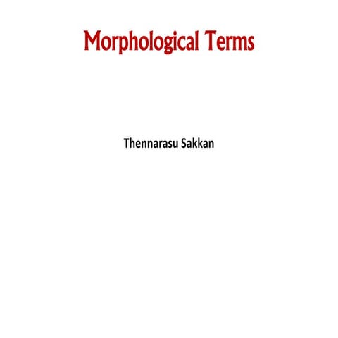 12 morphophonemics | PDF