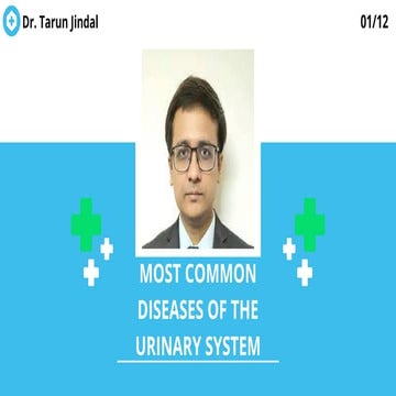 4 Most Common Diseases of the Urinary System | PDF | Medical Health