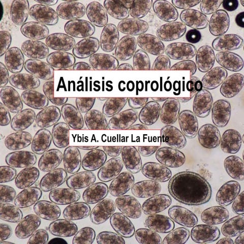Analisis coprologicos | PPTX