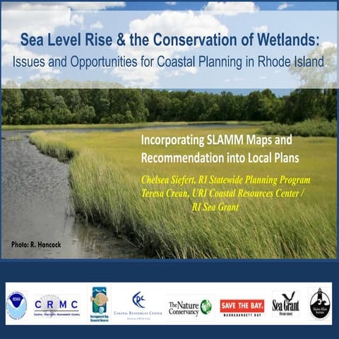 Sea Level Rise & the Conservation of Wetlands: Issues and Opportunities ...