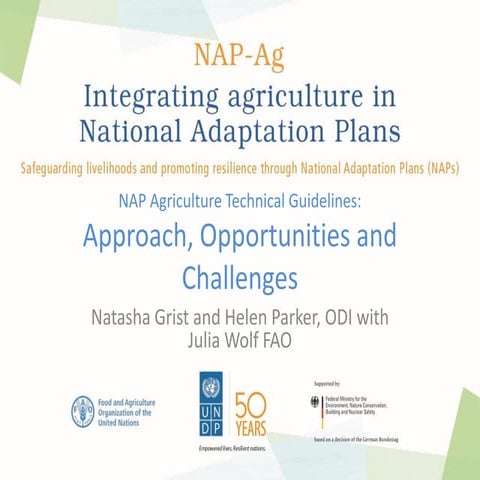 NAP Agriculture Technical Guidelines: Approach, Opportunities and ...