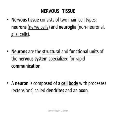 4 nervous tissue | PPTX