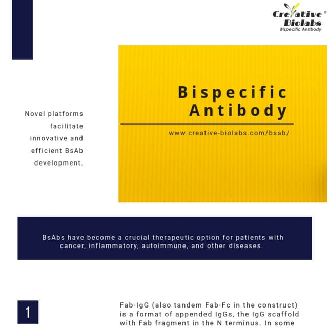 Knobs-in-holes | PDF