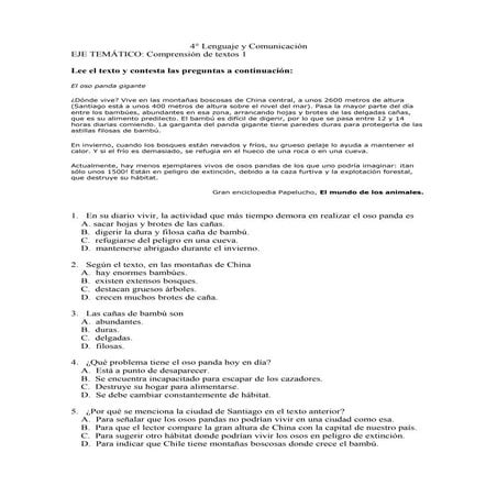 4 o comprension_lectora_n_1 | DOC