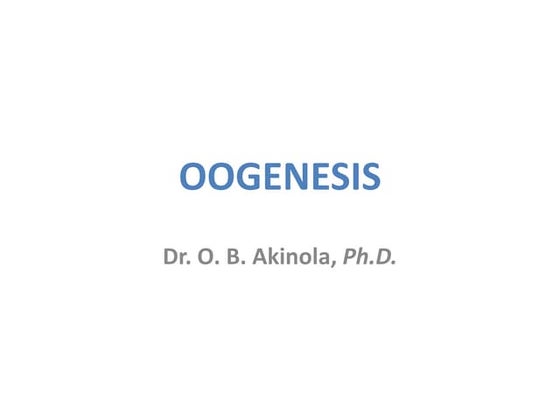 Oogenesis | PPTX | Infertility | Reproductive Health