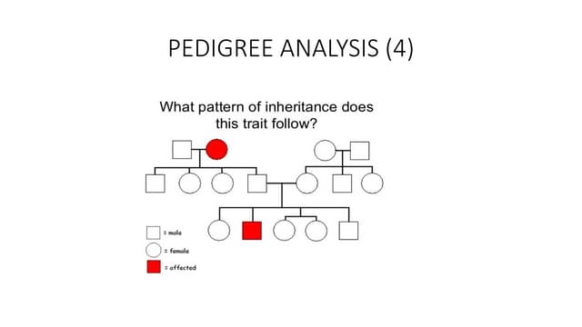 Pedigree Analysis Pdf