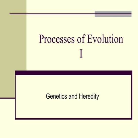 Processes of Evolution1 - Introduction to Anthropology | PPT