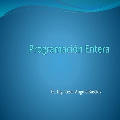 4_Programacion_Entera.pptx