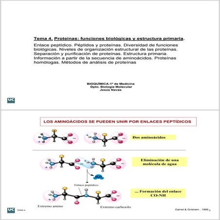 Full IUPAC Name for the Protein Titin | PDF