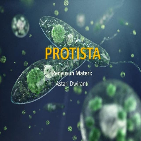 Protista | PDF