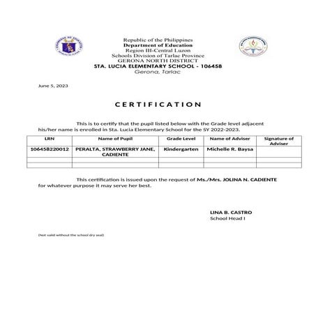 4ps certification (school)...................... | DOCX