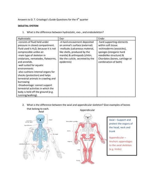 CAT: Master List of Commands | PDF