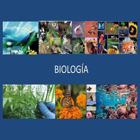 4° Ramas de la biología y la Bioética.pptx