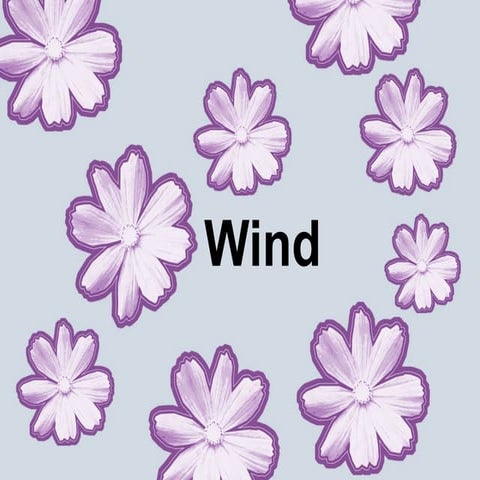 Sec 1 Exp Wind | PPT