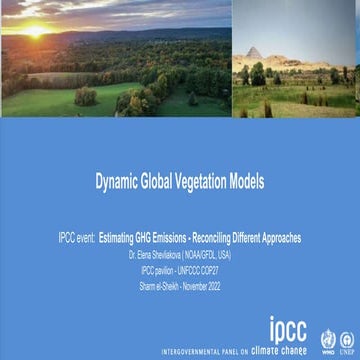 Dynamic Vegetation Global Models in IPCC Working Group I | PPTX