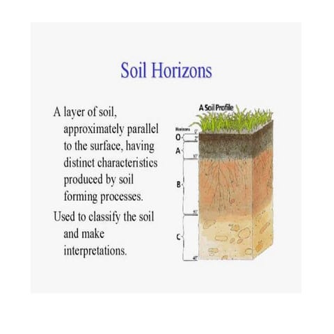 Layers of soil | PPTX