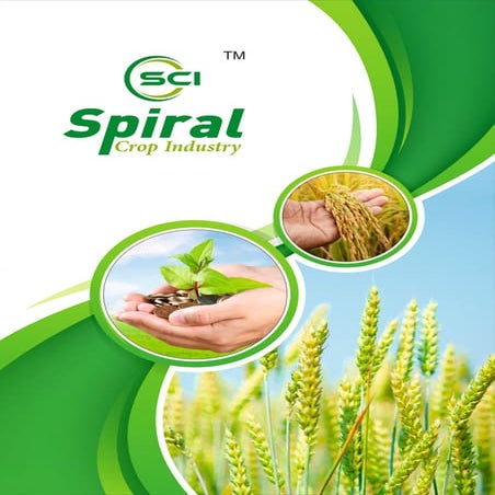 4 Spiral Catlog Final 2025.pdf hdghfddghjgftyf6uuhhggfff | PDF