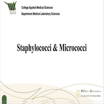 4 Staphylococci & Micrococci.pdf | Infectious Diseases | Diseases and ...