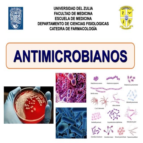 Antibióticos Glucopeptidos | PPTX