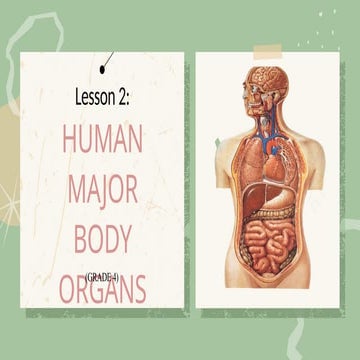 4TH-EXPERIMENT Science organs of the body.pptx